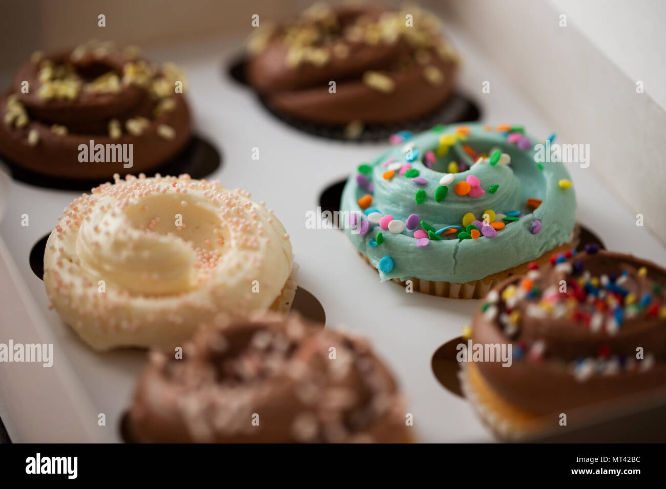 Decorated chocolate and vanilla cupcakes with sprinkles, in a box of ...