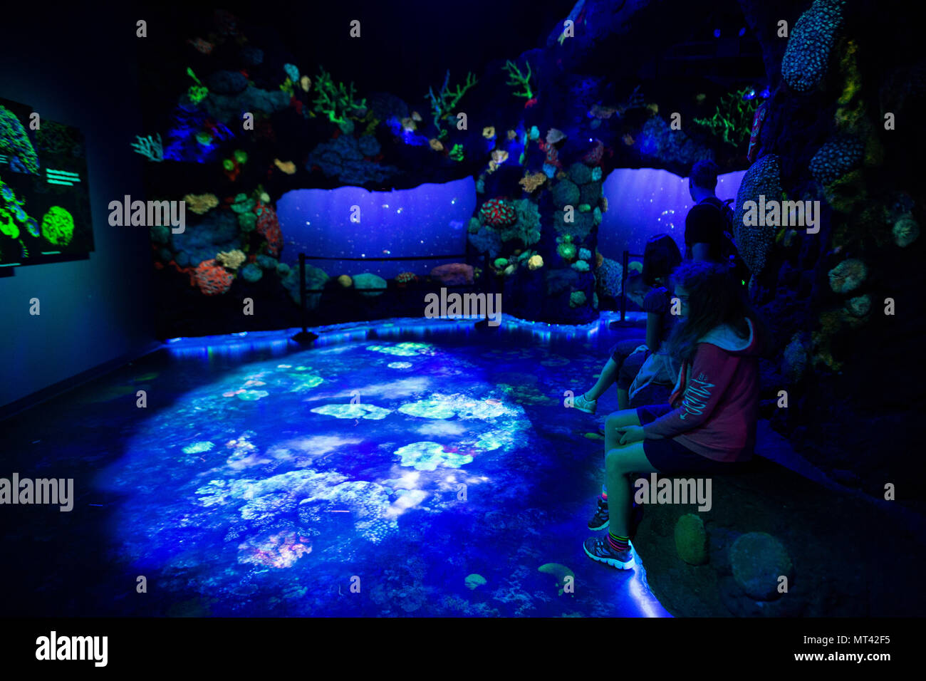 Ocean Odyssey coral reef exhibit, in Times Square, New York City Stock ...