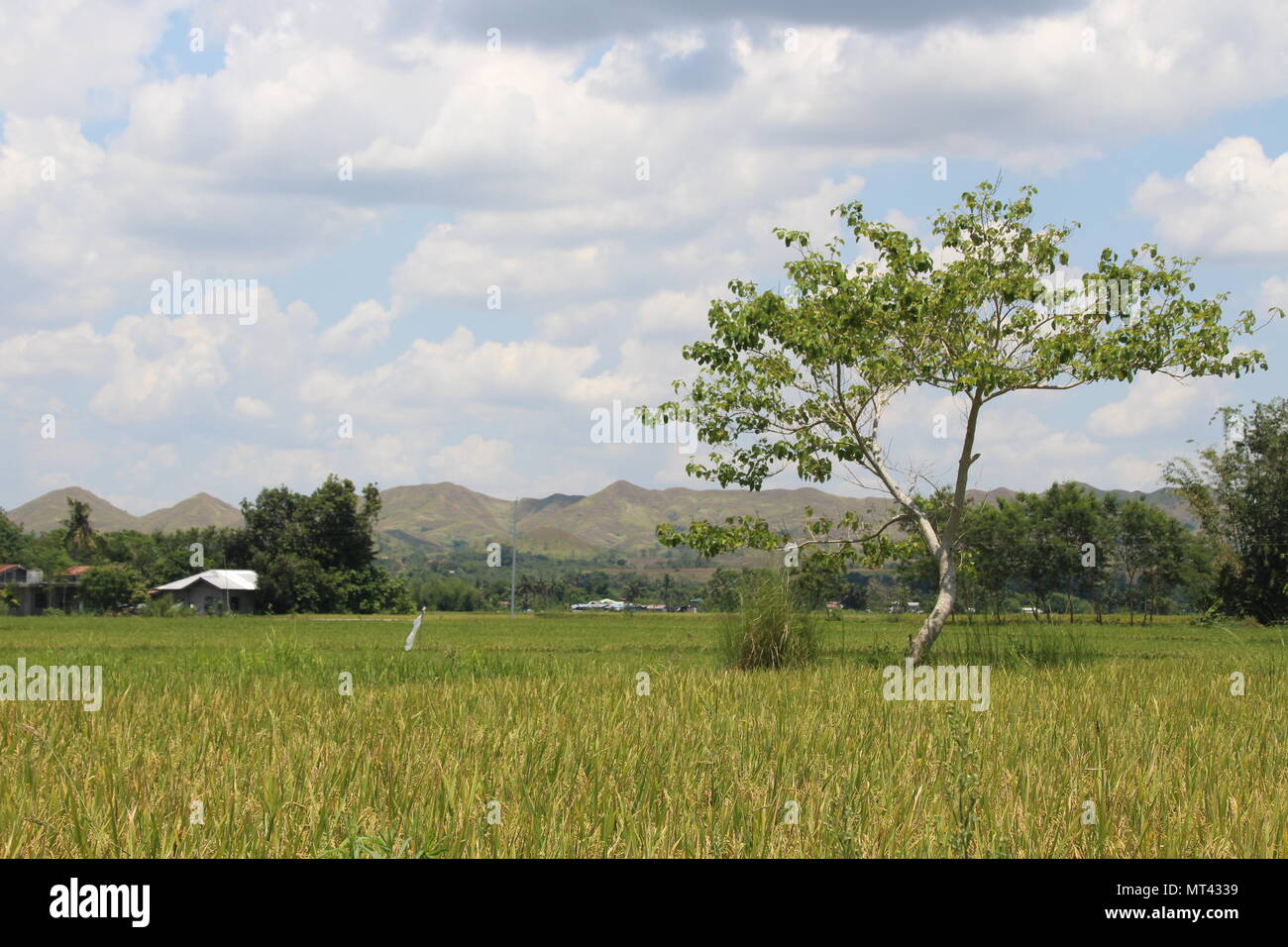 Pinukpuk hi-res stock photography and images - Alamy