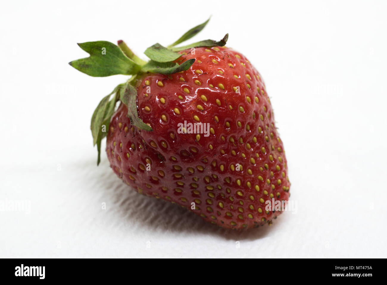 Strawberry seed closeup hi-res stock photography and images - Alamy
