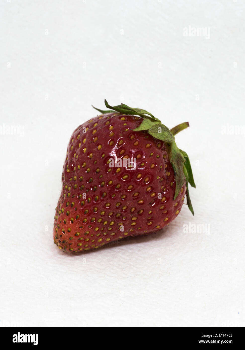 Organically Grown Strawberry Stock Photo - Alamy