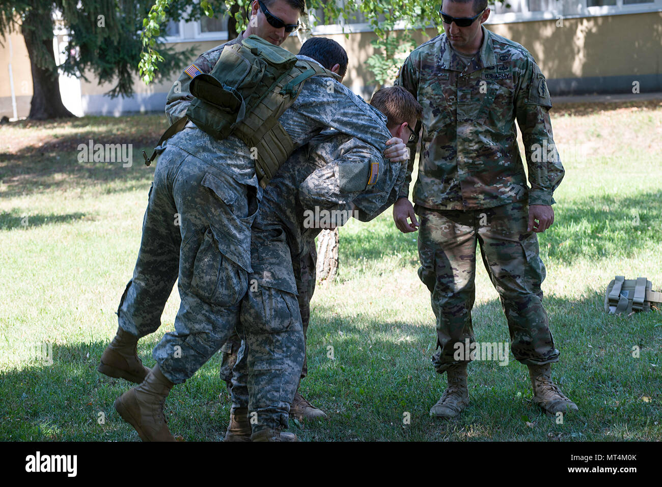 Buddy swan hi-res stock photography and images - Alamy
