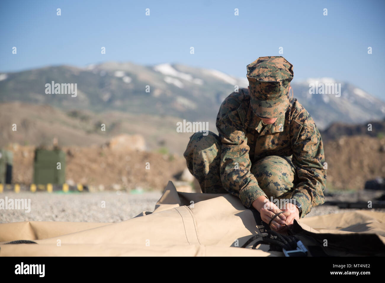 Olivia chow hi-res stock photography and images - Alamy