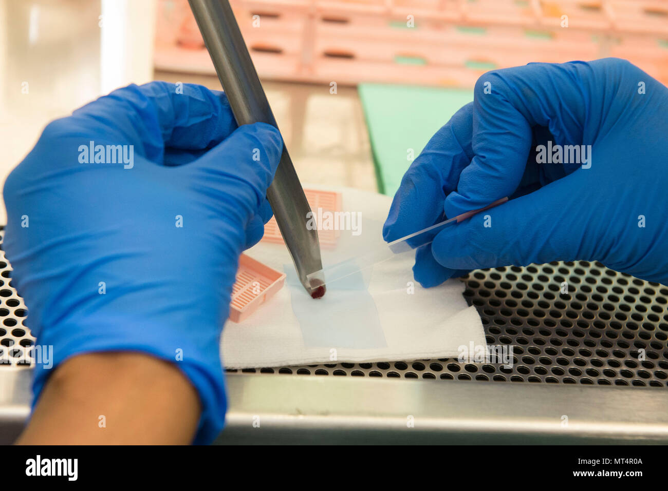 Pamela Baker, 88th Medical Operations Squadron cytology technician ...