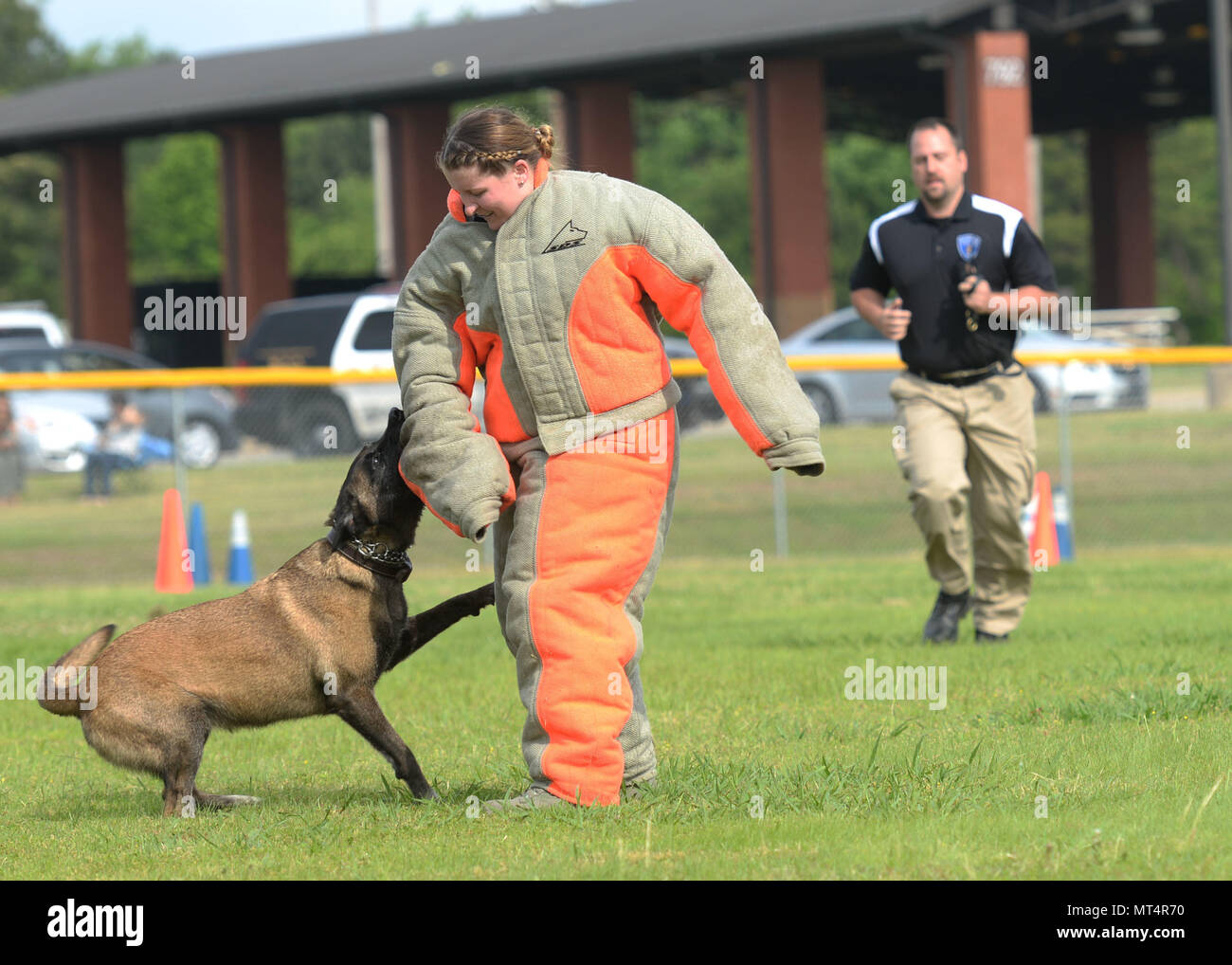 A K-9 from the Hot Springs Police Department conducts a controlled ...