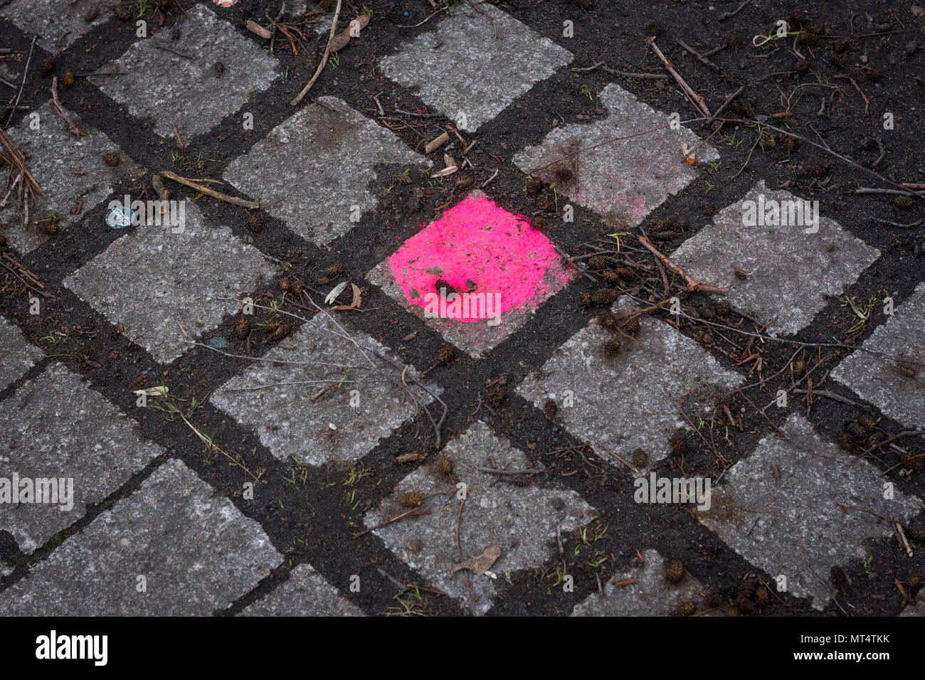 A pink dot sprayed onto a pavement in Berlin, Germany Stock Photo - Alamy