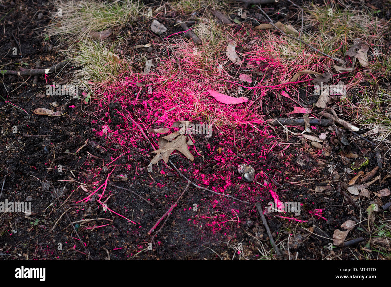 Pink spray paint hi-res stock photography and images - Alamy