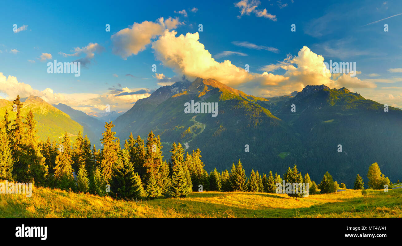 Beauty summer sunset hi-res stock photography and images - Alamy
