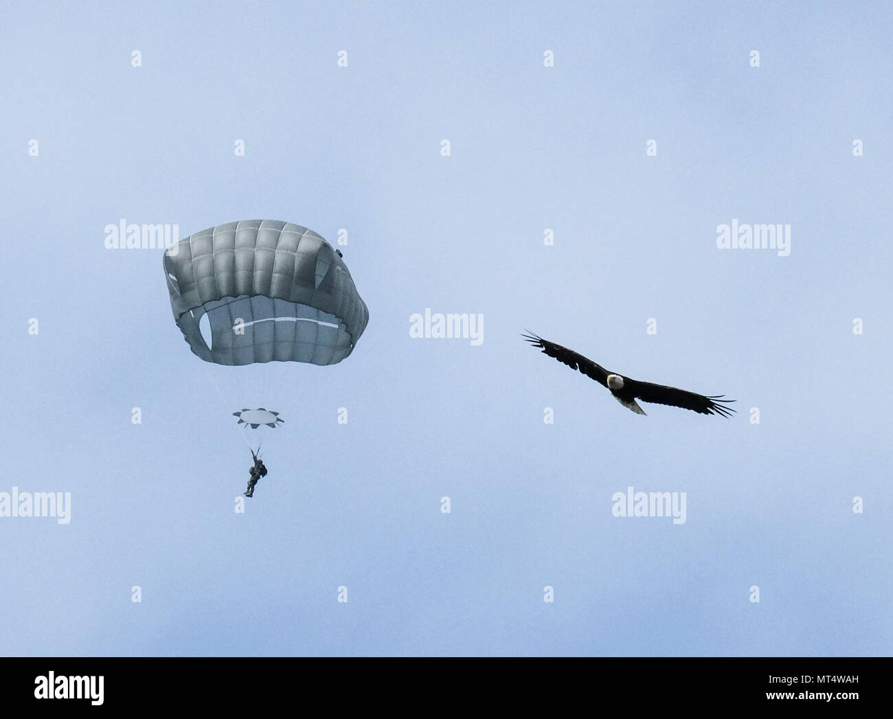 An bald eagle soars past as 4th Infantry Brigade Combat Team (Airborne ...