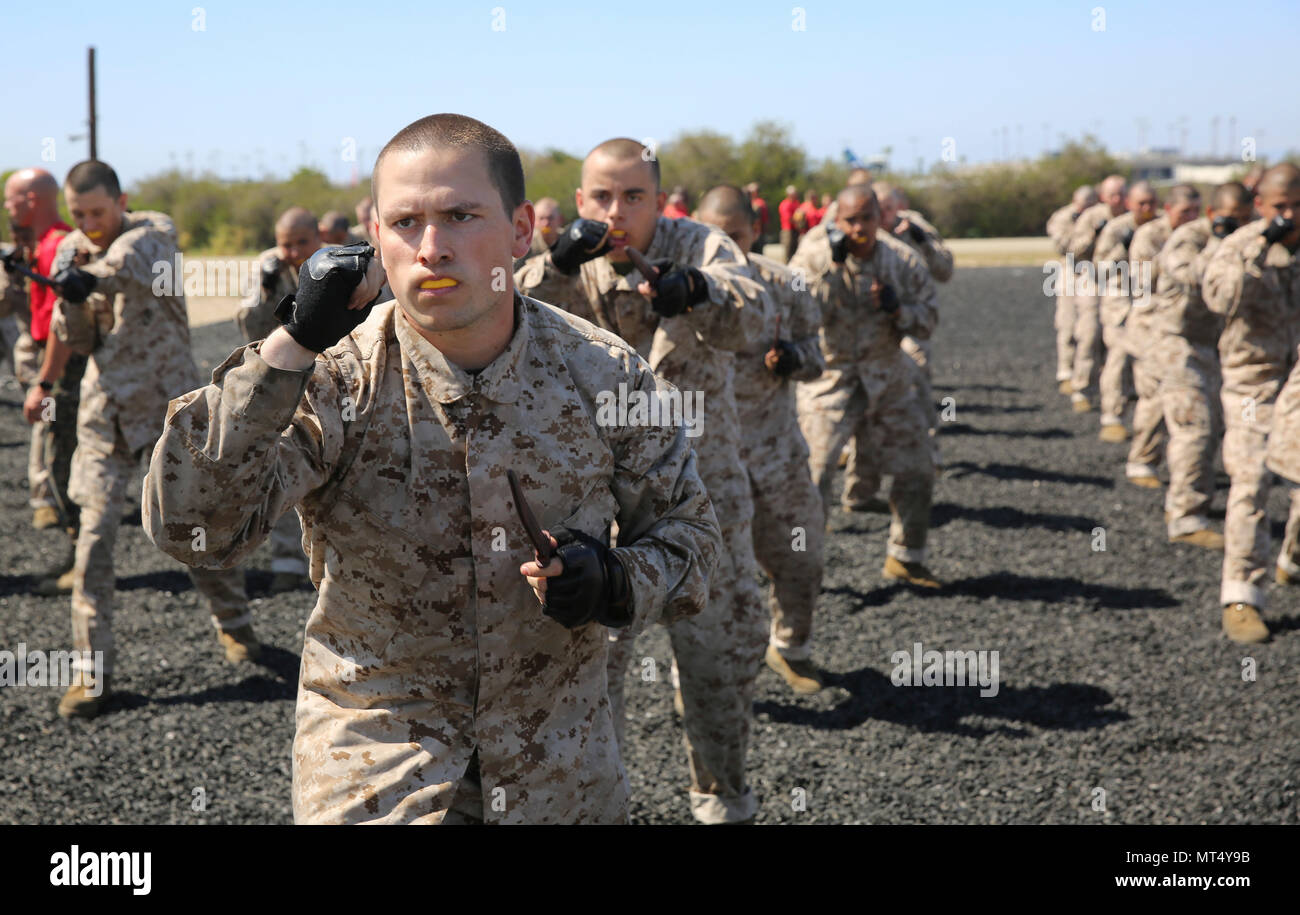 Makingmarines hi-res stock photography and images - Alamy