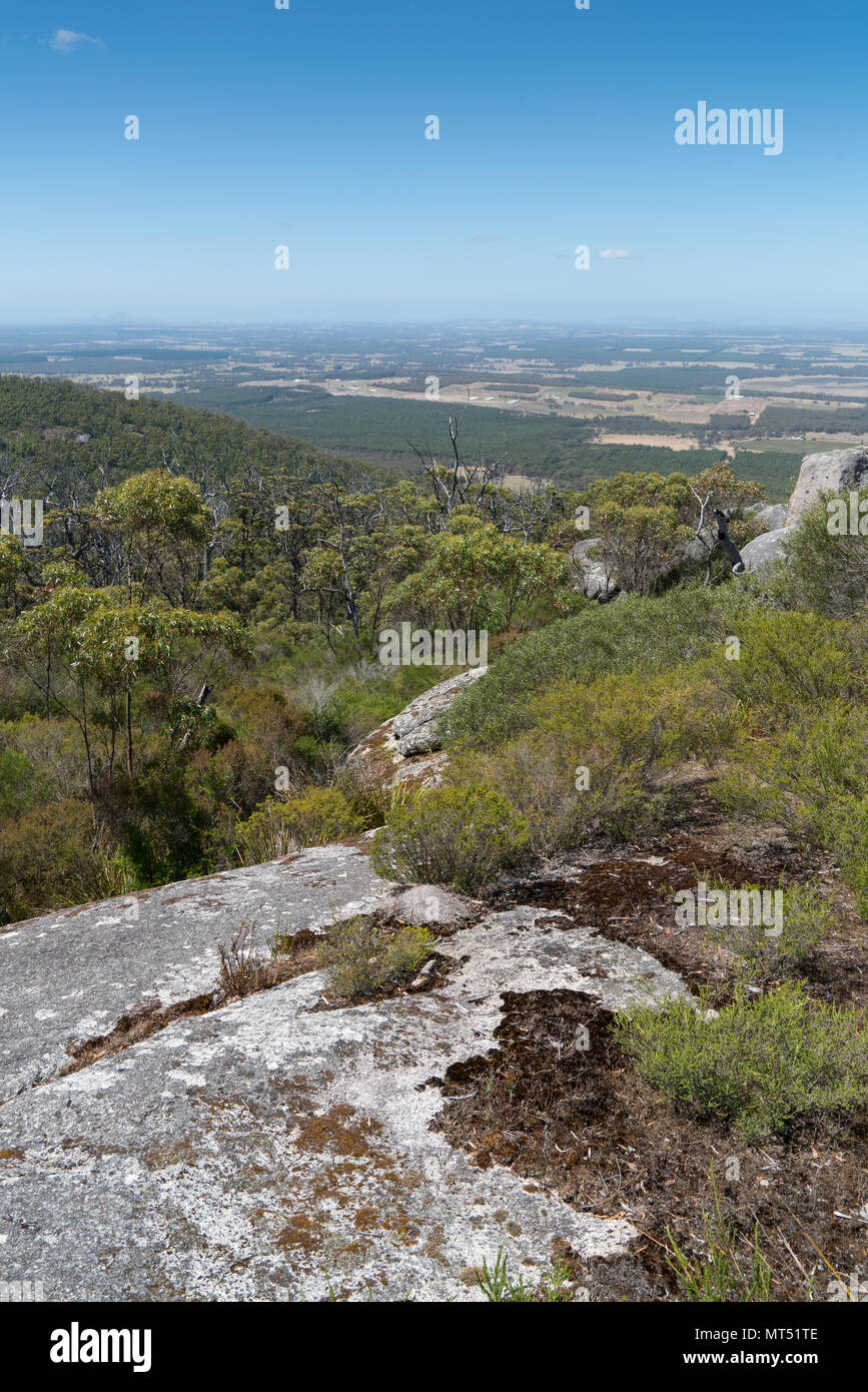 Australia albany forest hi-res stock photography and images - Alamy