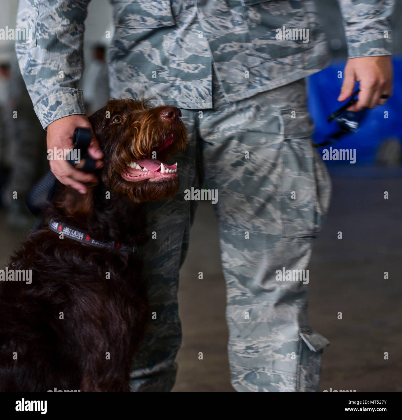 Staff Sgt. Ted Zielinski, an electronic warfare systems craftsman with ...