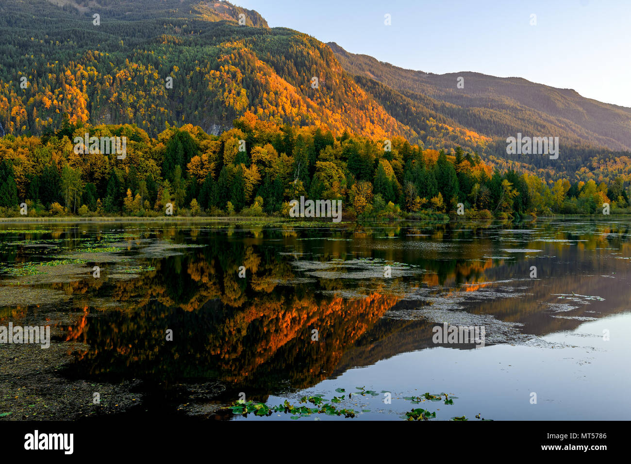 Autumn colors at Cheam Lake Wetlands Regional Park with the Mount Cheam ...