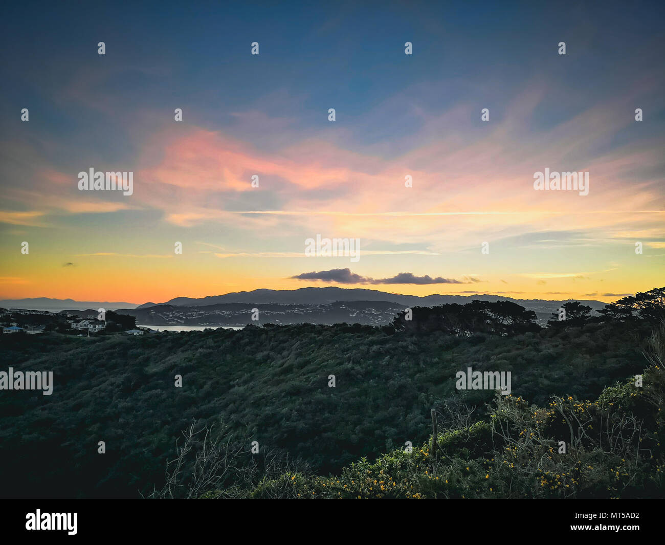 Sunset at Wellington New Zealand landscape Stock Photo - Alamy