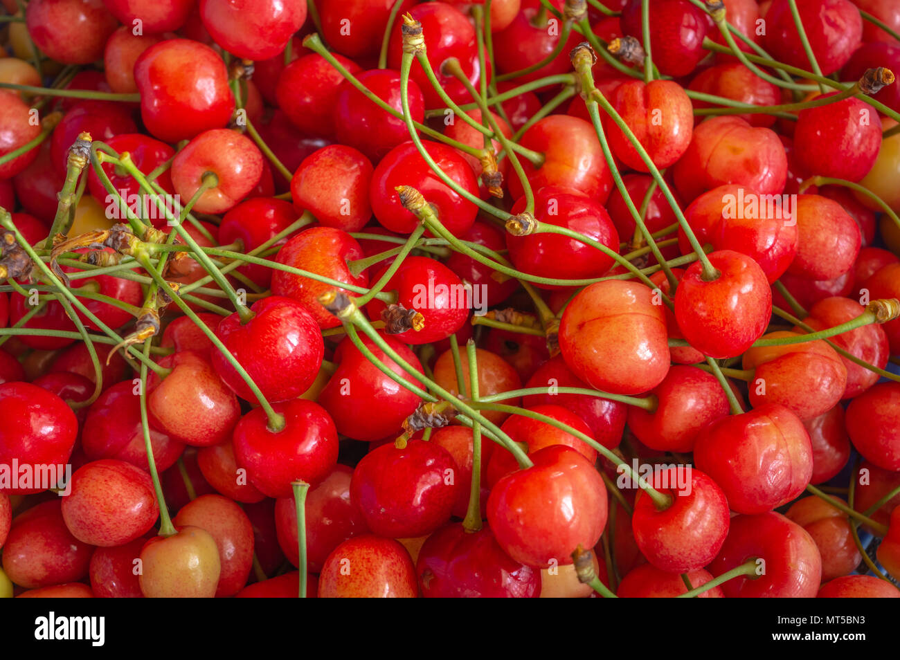 Kashmiri cherries hi-res stock photography and images - Alamy