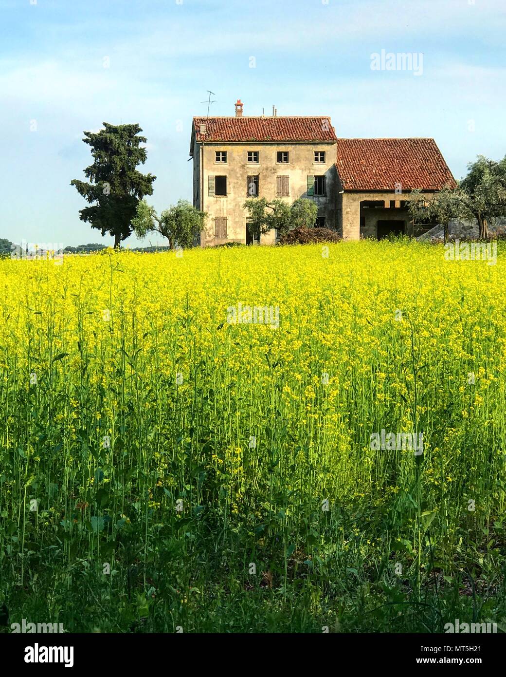 Giallo Verona High Resolution Stock Photography and Images - Alamy