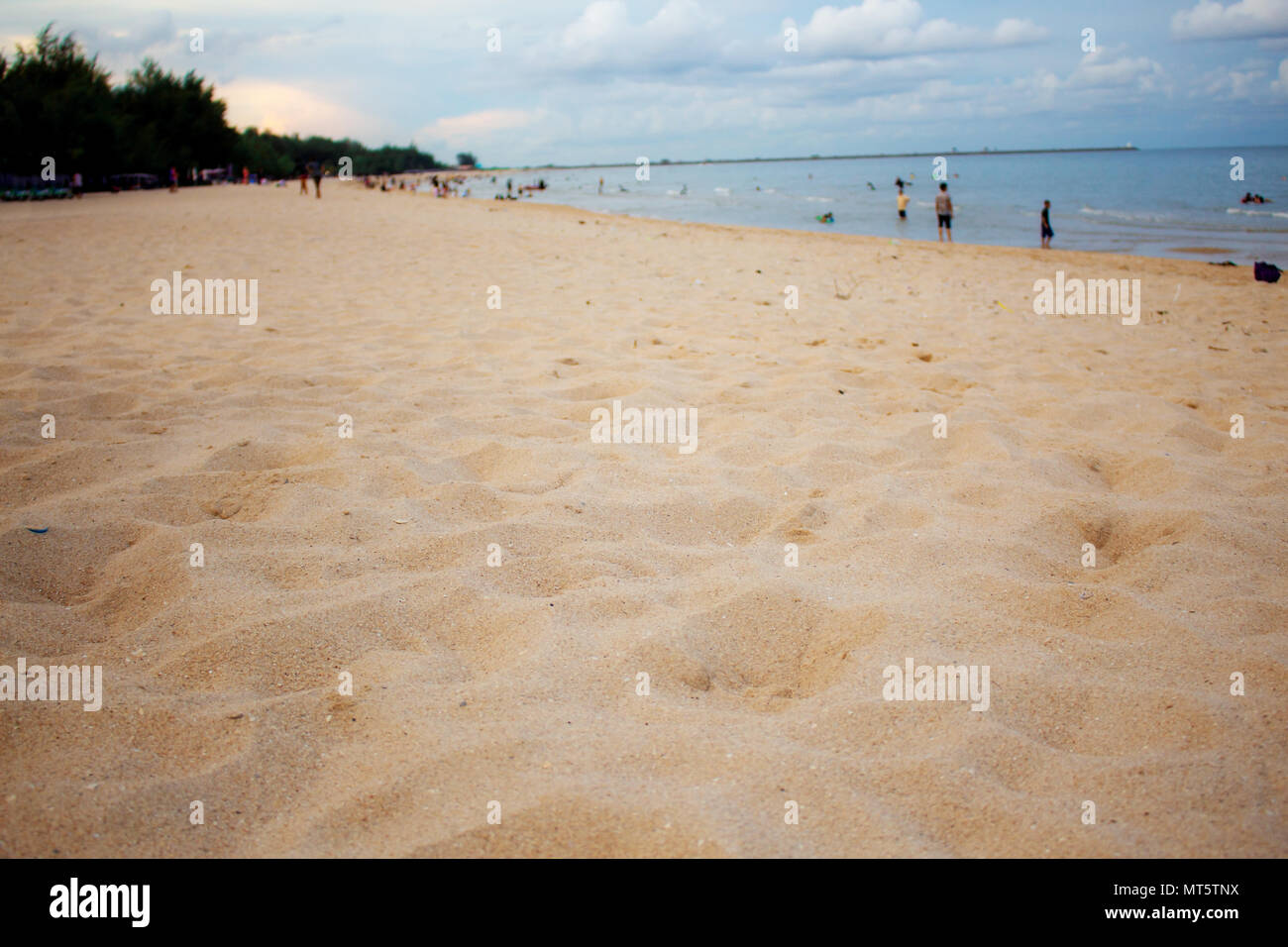 Sand and nature at seaside in summer Stock Photo - Alamy