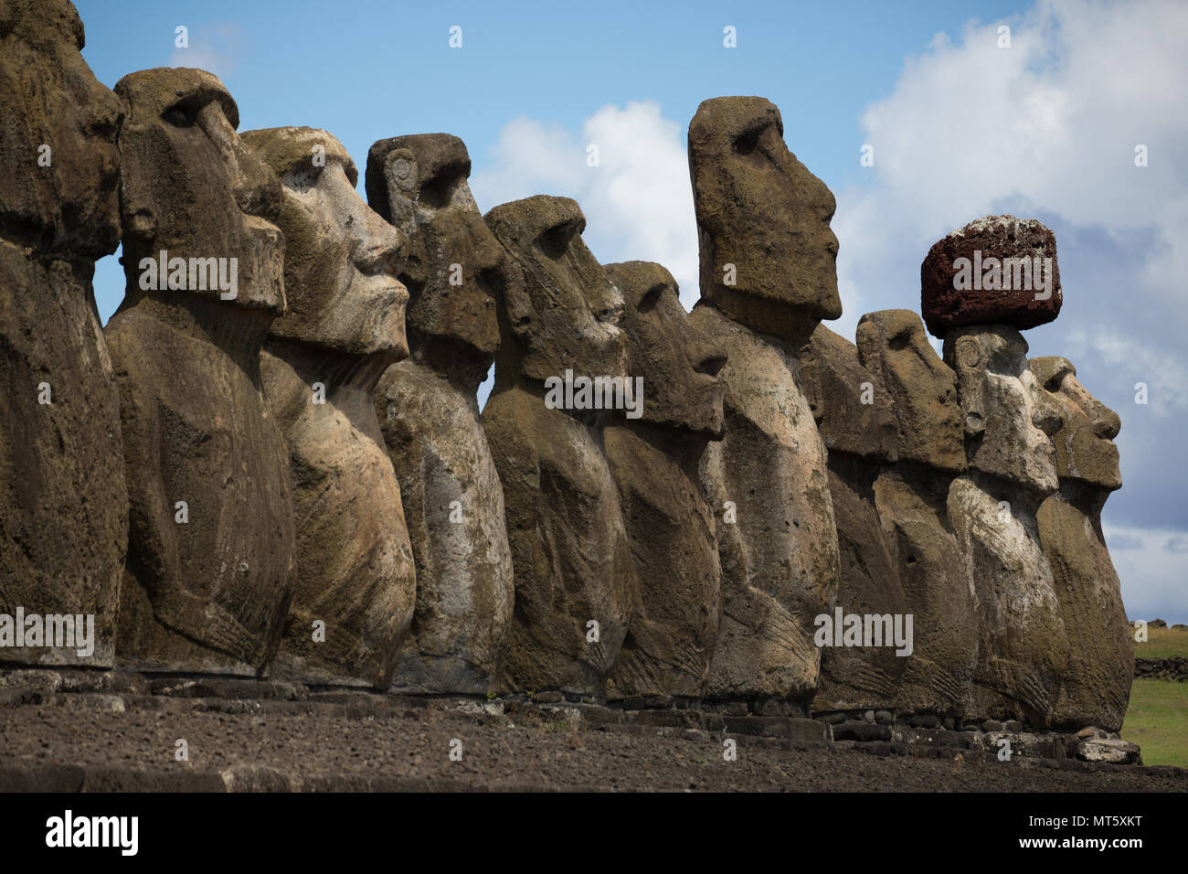 A row of restored moai heads at Ahu Tongariki on Easter Island Stock ...