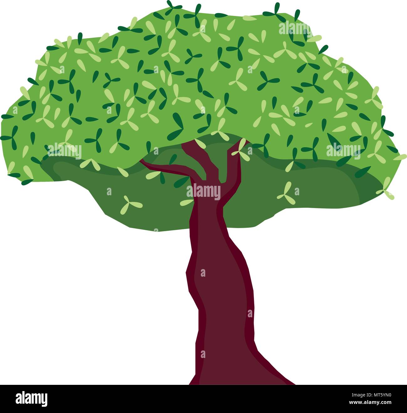 tropical tree natural stalk botanic Stock Vector Image & Art - Alamy