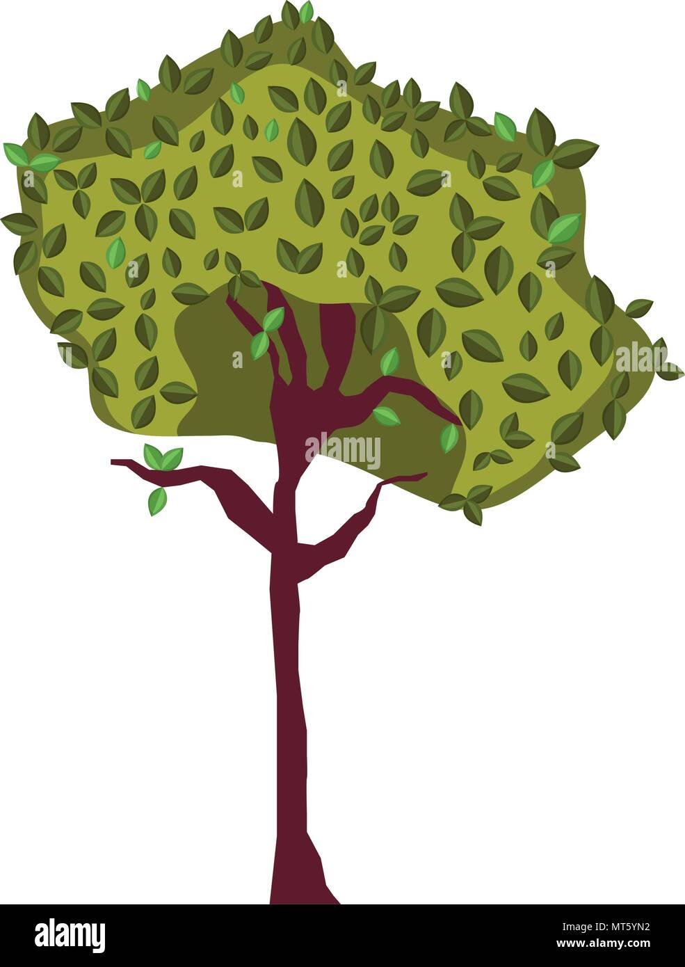 exotic tree botanic stalk nature Stock Vector Image & Art - Alamy