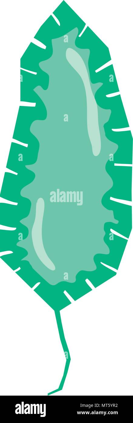 nature exotic leaf spring design Stock Vector Image & Art - Alamy