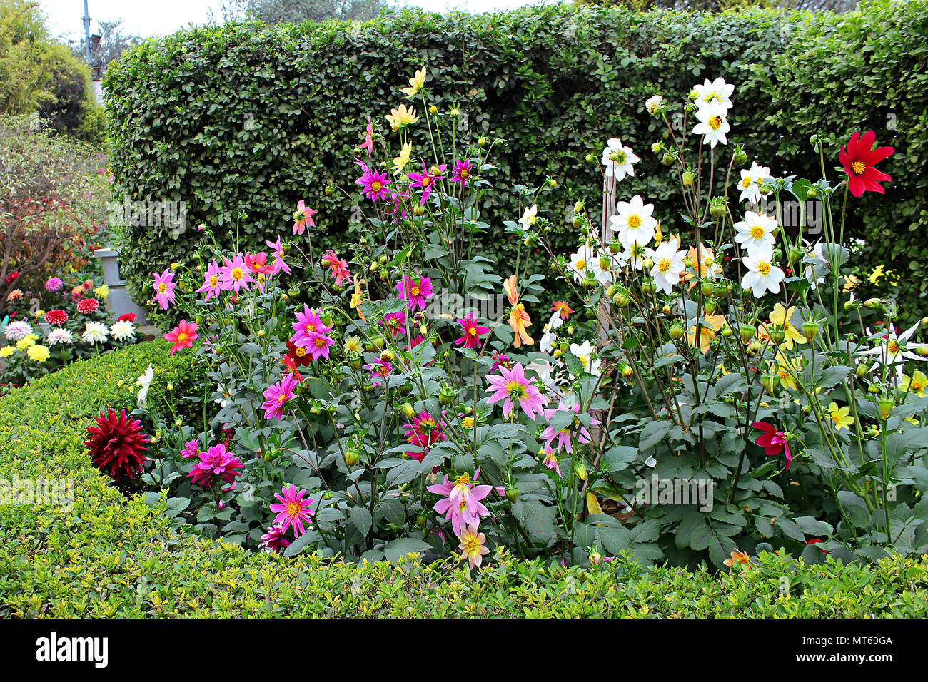 Garden of five senses hi-res stock photography and images - Alamy