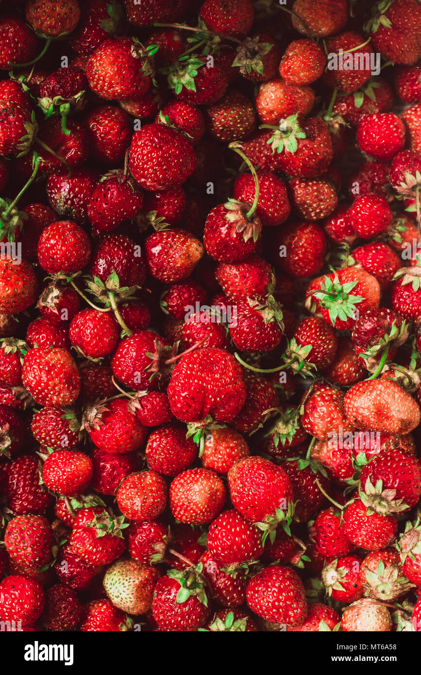 background from freshly harvested strawberries, directly above Stock ...