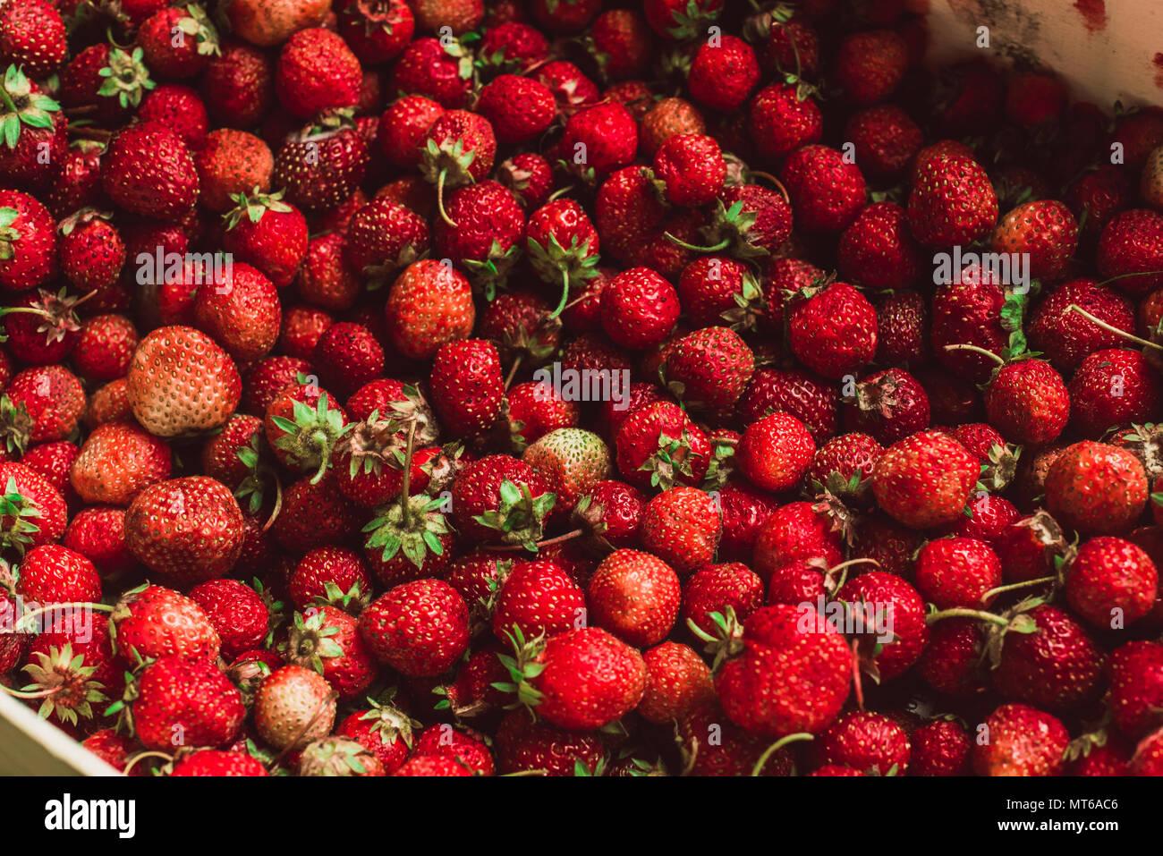 background from freshly harvested strawberries, directly above Stock ...