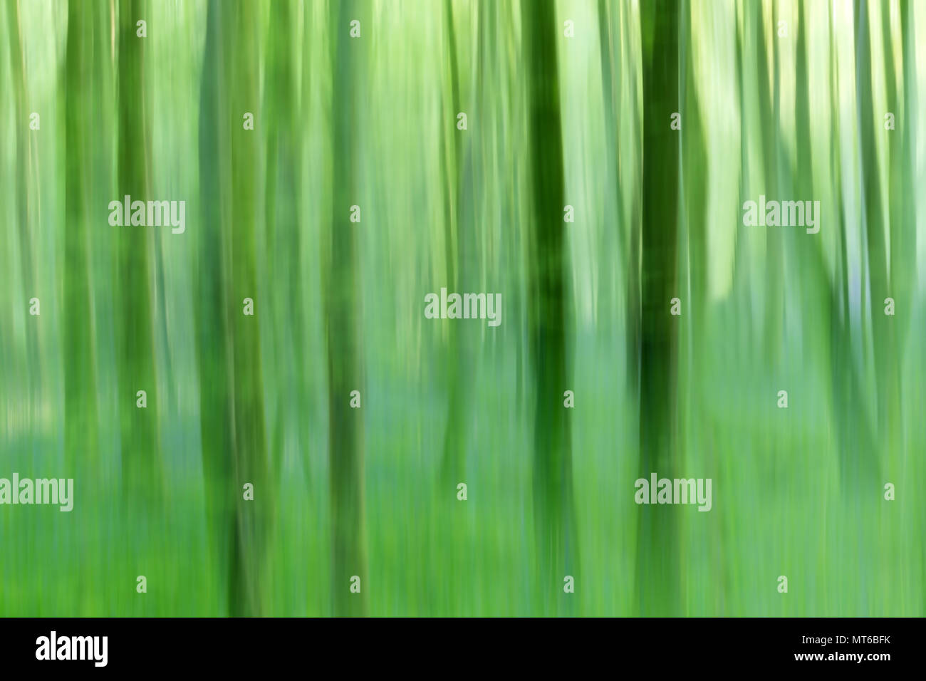 Abstract green in forest Stock Photo - Alamy