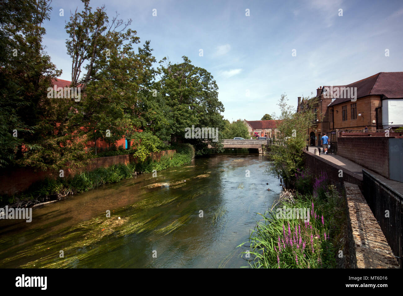 The river avon at salisbury hi-res stock photography and images - Alamy
