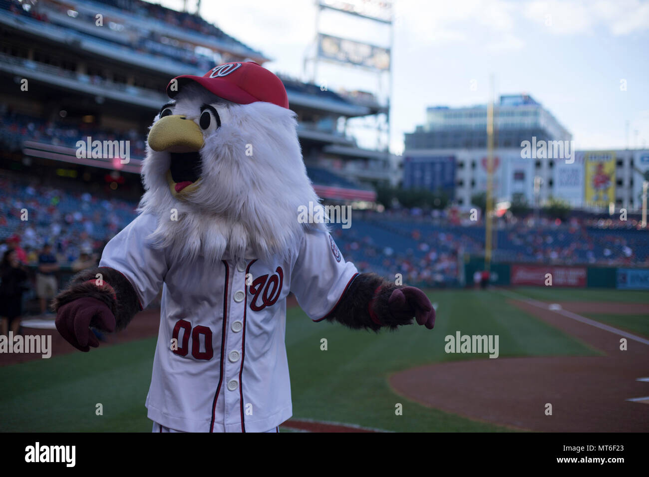Washington Nationals mascot, Screech, enters the field at the ...