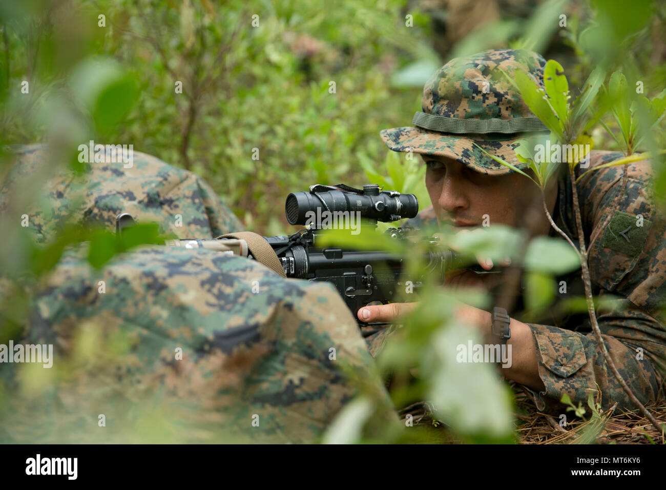A U.S. Marine with 2nd Light Armored Reconnaissance (LAR), Battalion ...