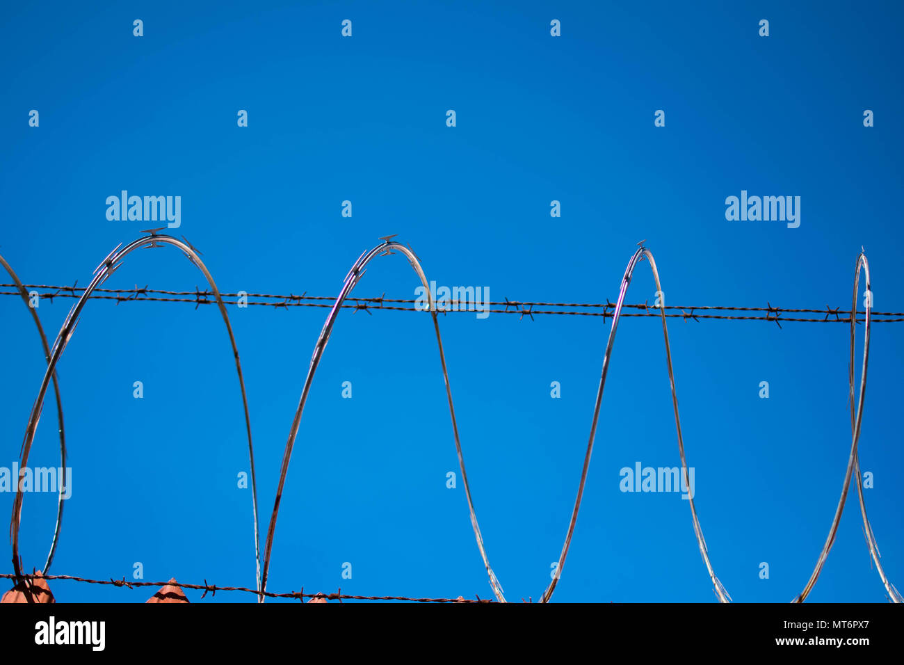 Razor wire injury hi-res stock photography and images - Alamy