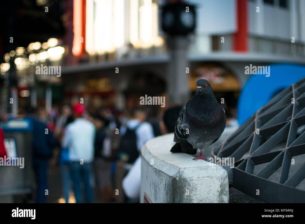 Core neighbourhood hi-res stock photography and images - Alamy