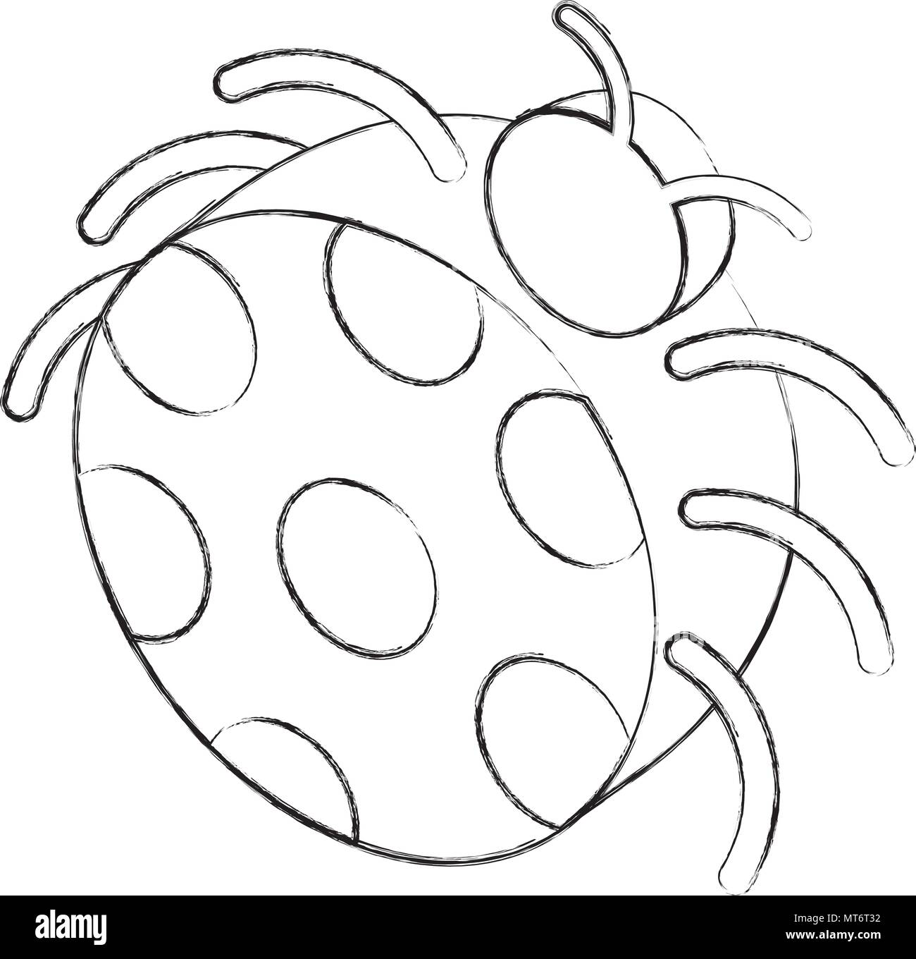 bug insect animal isometric image vector illustration sketch Stock ...