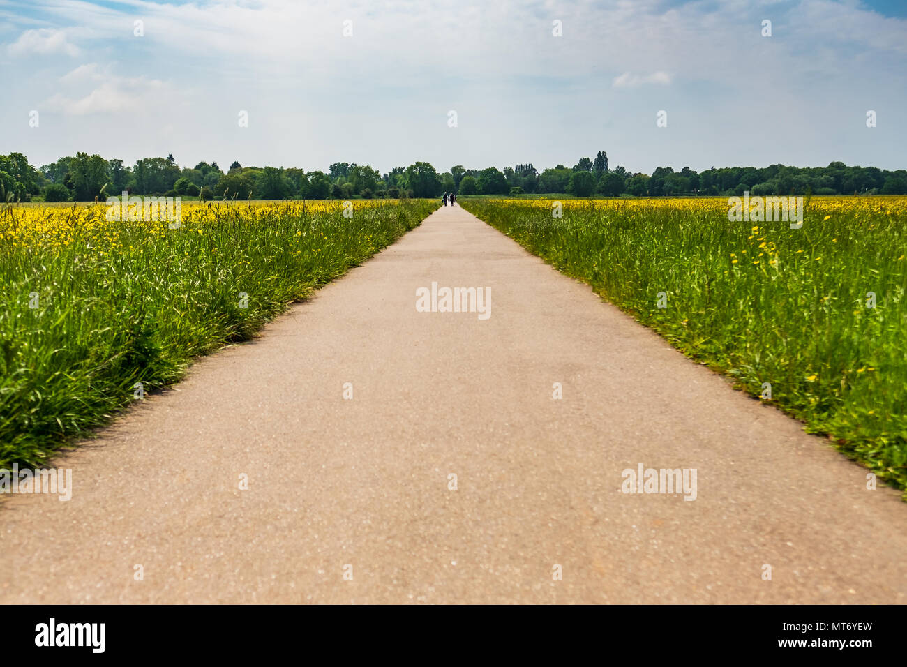 Abstract, low level view of a wide asphalt road and path seen extending ...