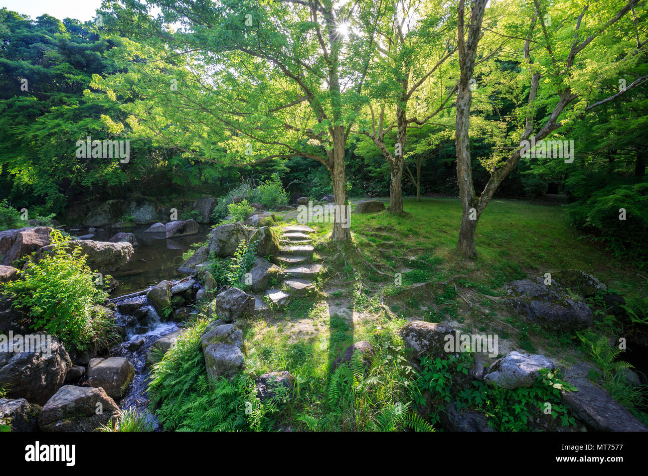 Stone steps lead down to small stream and waterfall Stock Photo - Alamy