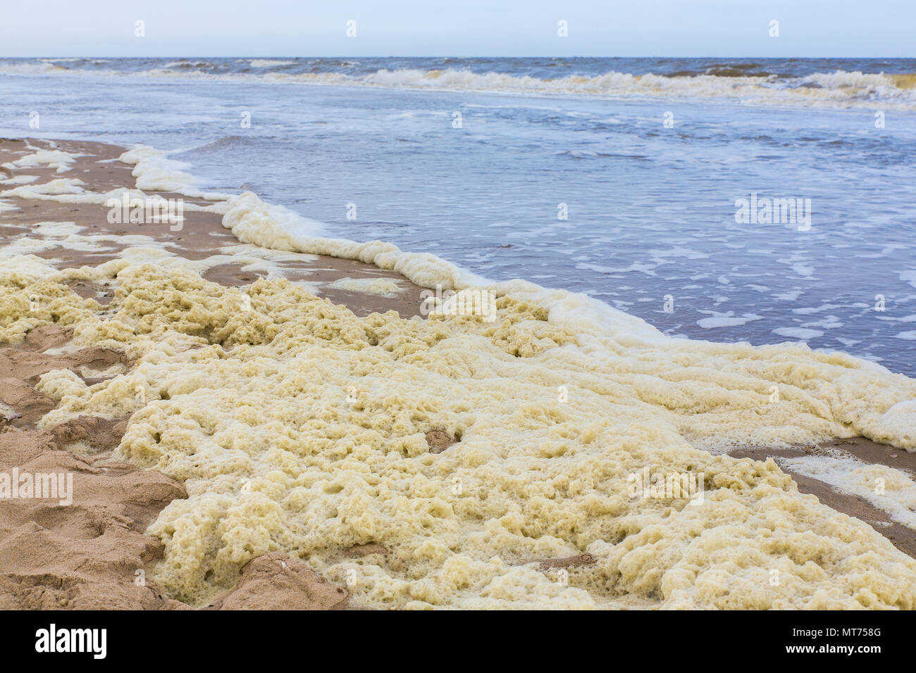Dutch beach hi-res stock photography and images - Alamy