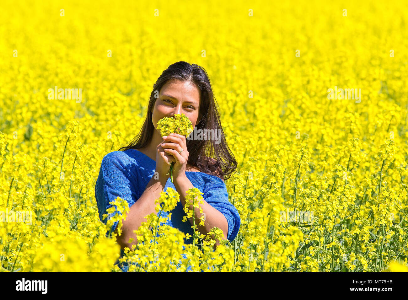 Yellow happy flowers hi-res stock photography and images - Alamy