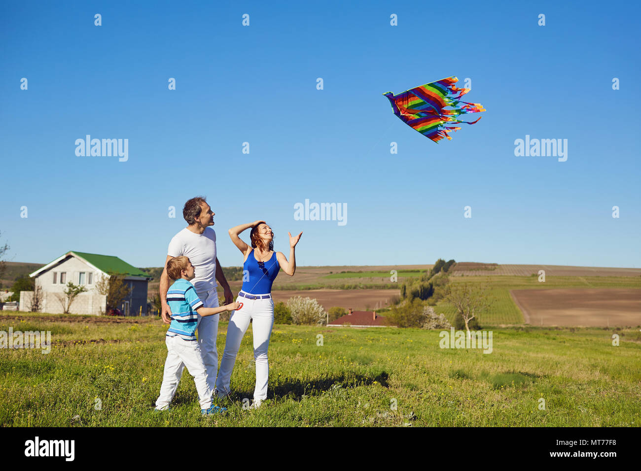 Happy family with a kite playing in the field in nature Stock Photo - Alamy
