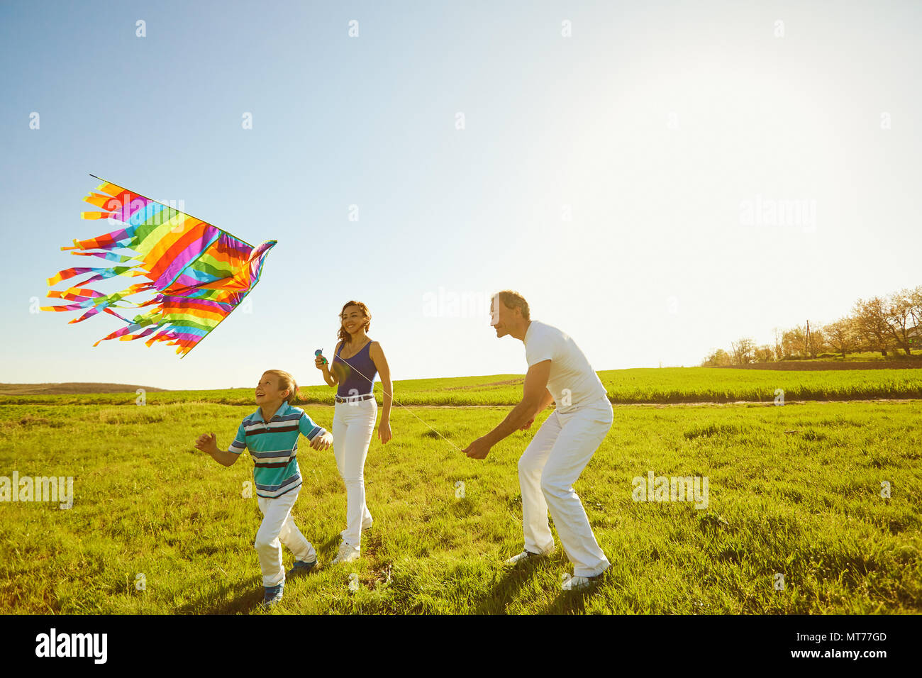 Kites In Nature