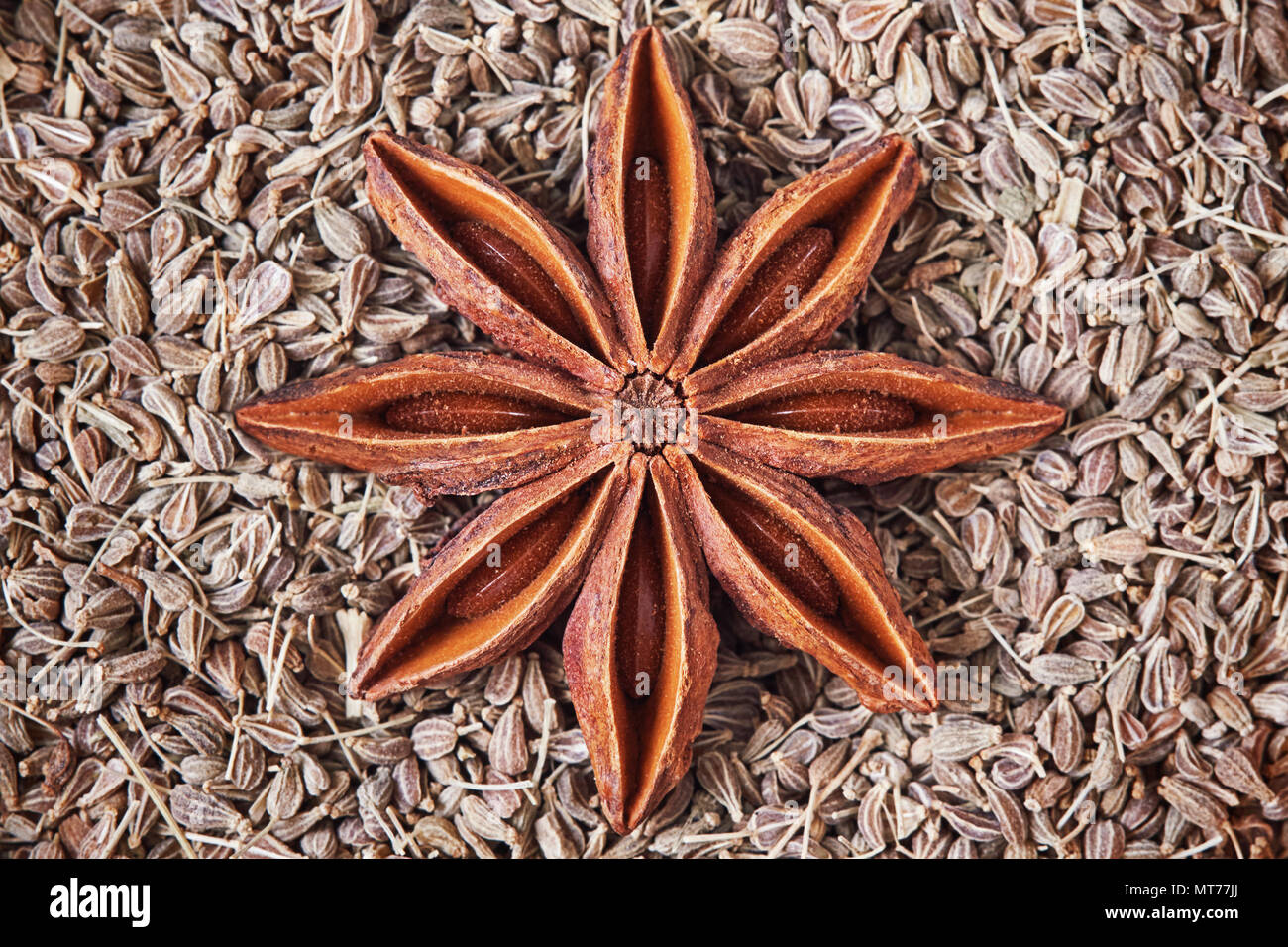 Star anise (Illicium verum) and anise seed, also known as aniseed ...