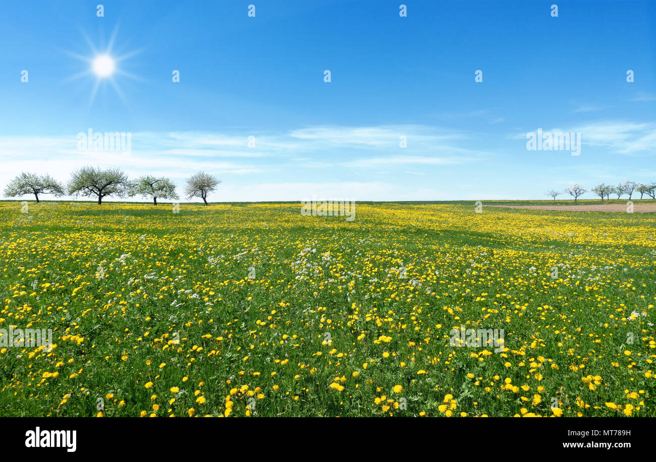 Large meadow hi-res stock photography and images - Alamy