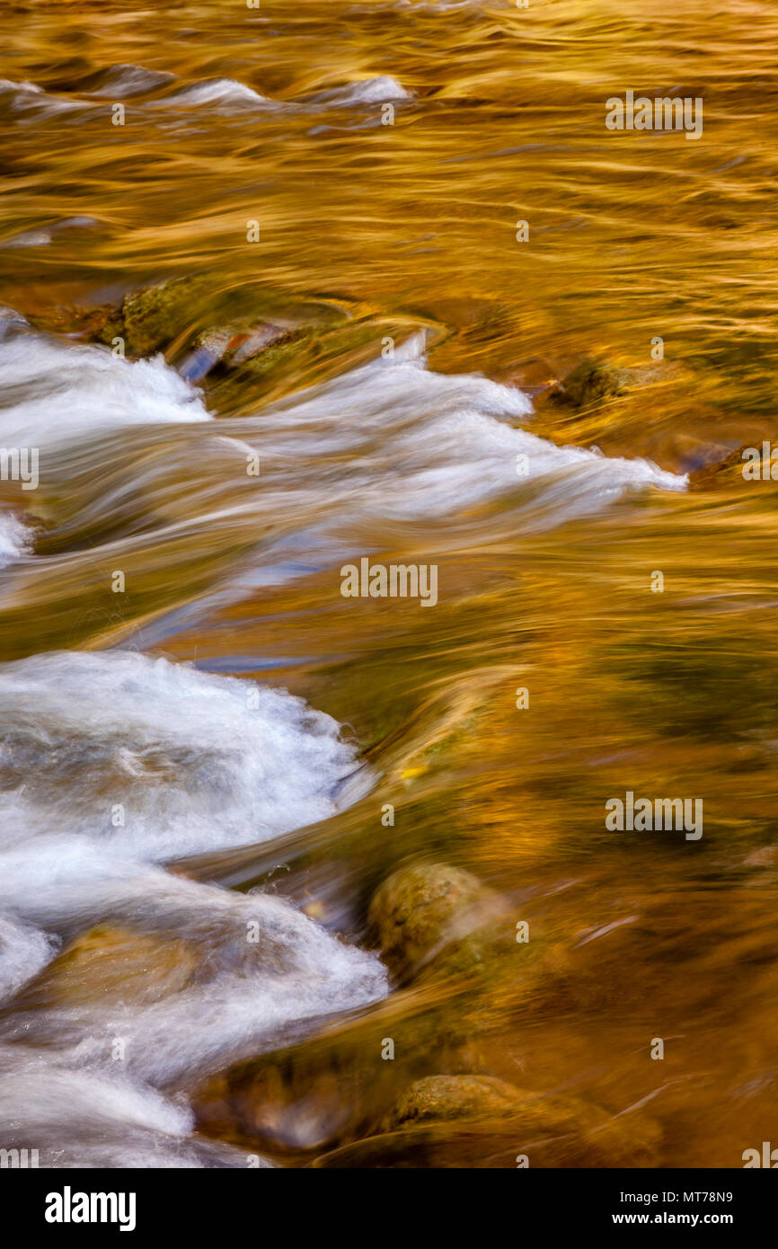 Finch meander area hi-res stock photography and images - Alamy