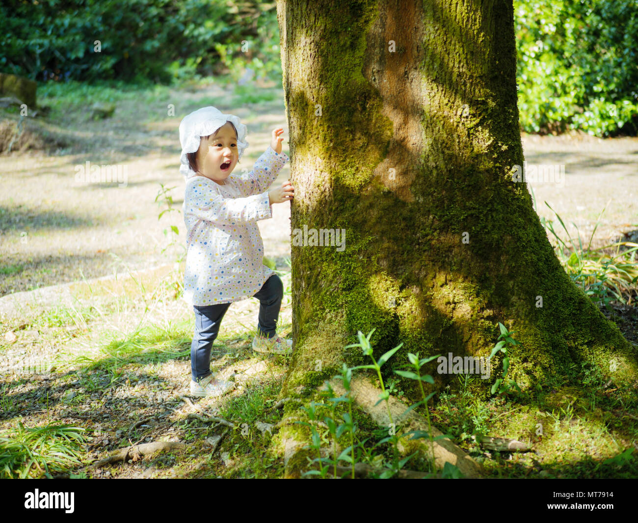 baby girl play at spring forest park Stock Photo - Alamy