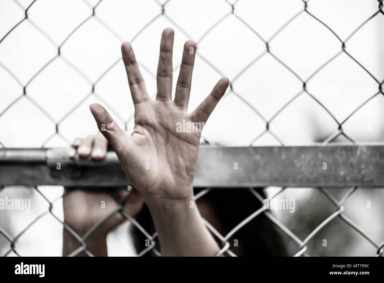 Stop abusing woman violence, Human Rights Day concept Stock Photo - Alamy
