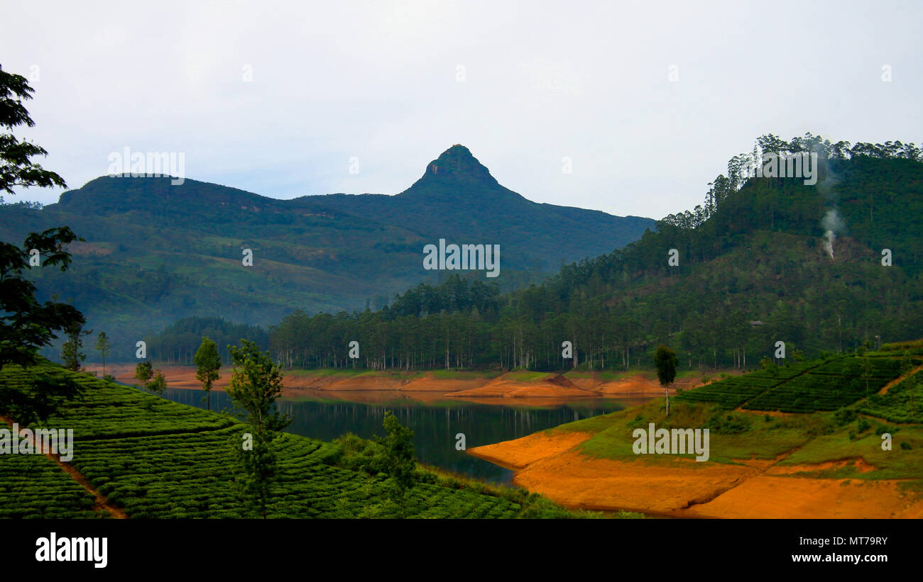 Sri pada peak hi-res stock photography and images - Alamy
