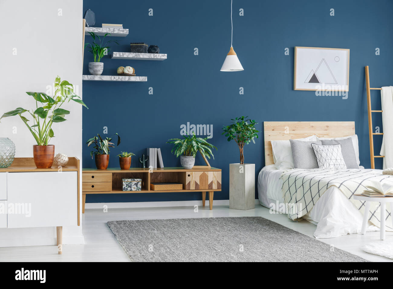 Blue cabinet plants lamp hi-res stock photography and images - Alamy