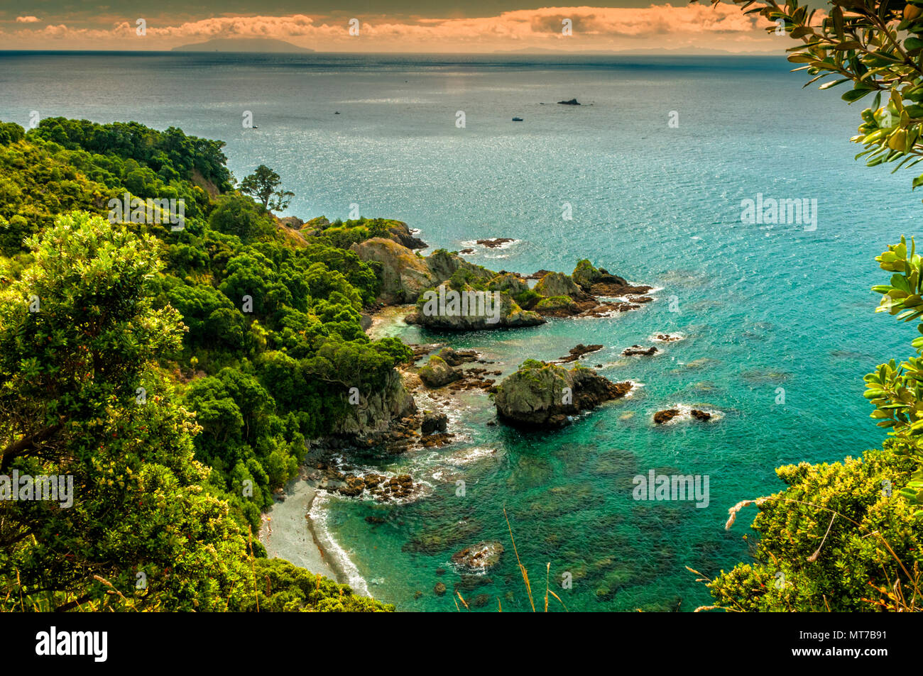 Tiritiri matangi lighthouse hi-res stock photography and images - Alamy