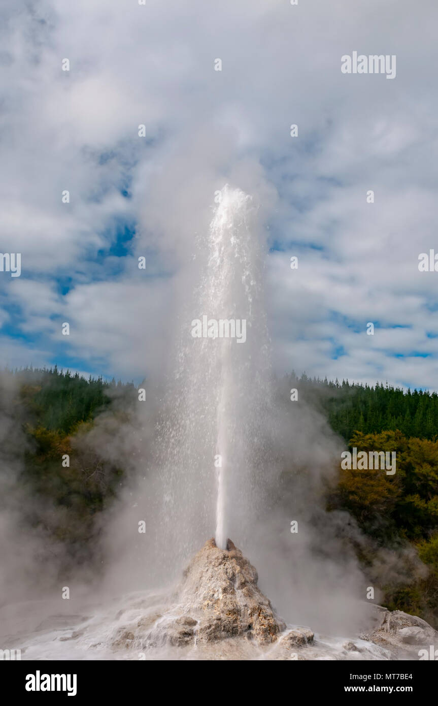 Whakarewarewa geothermal park, Rotorua, New Zealand Stock Photo - Alamy